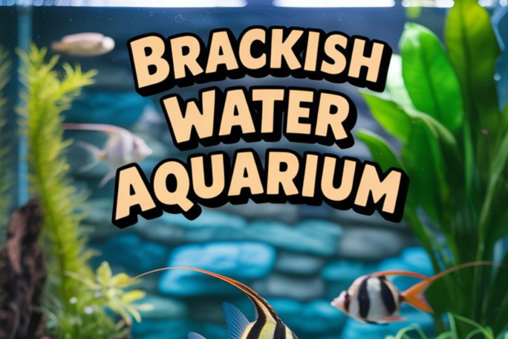 Brackish Water Aquarium: A Complete Guide for Aquarists - Guppy Life