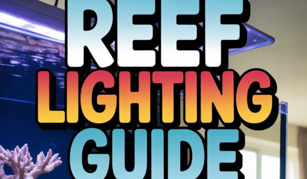 Reef Lighting Guide: Everything You Need to Know for a Thriving Reef ...