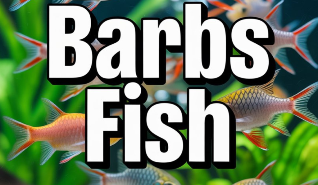 Barbs Fish – Complete Care Guide, Types, Tank Setup & Behavior - Guppy Fish