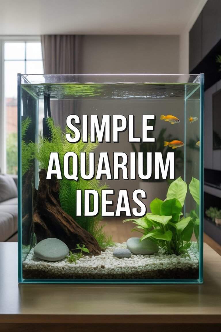 Simple Aquarium Ideas: Easy and Beautiful Fish Tank Designs - Guppy Fish